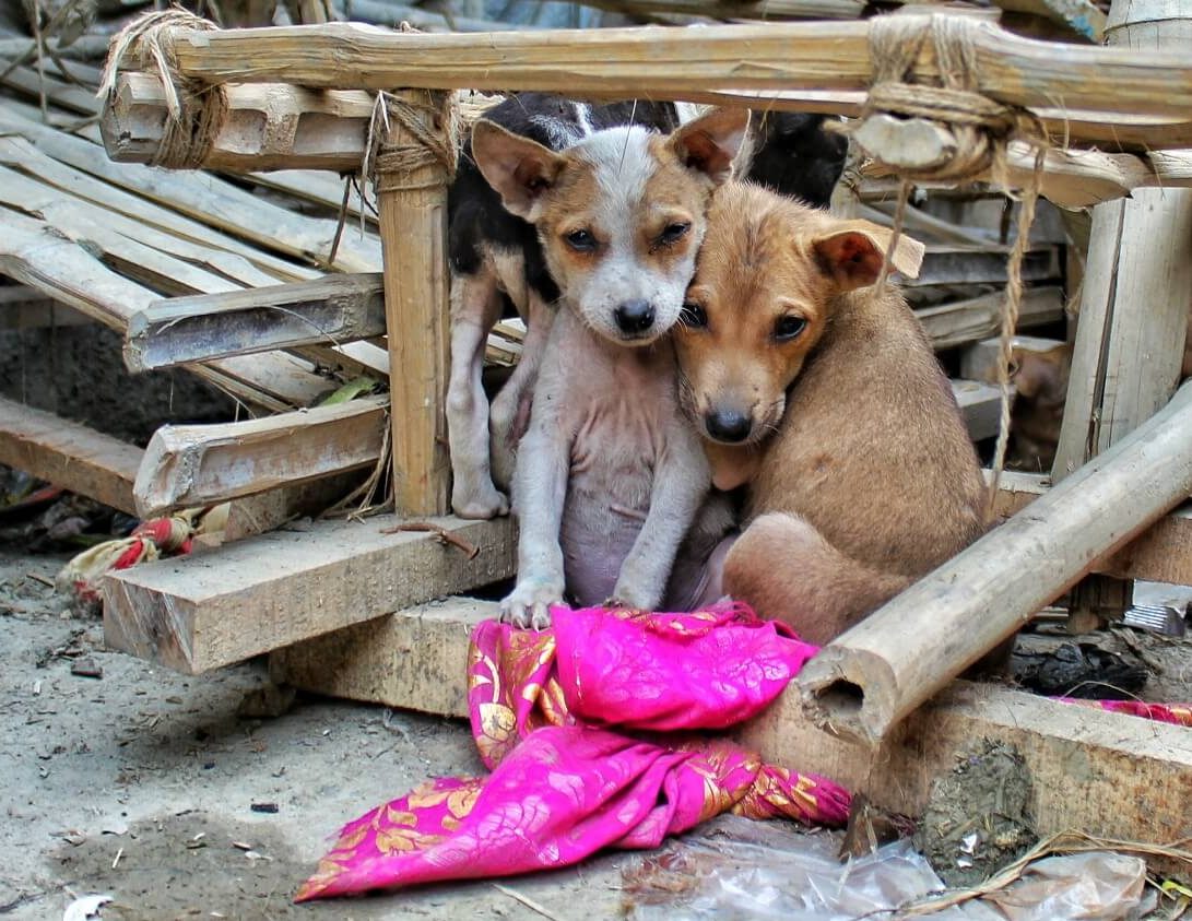 Home - Sanctuary Hostel